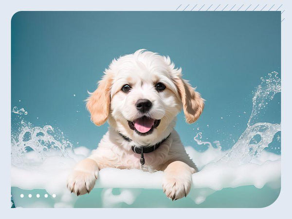 Ultimate Home Spa Guide for Pets | Petfection Corner