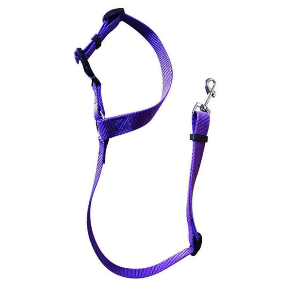 Cat Safety Supplies: Comfortable Protection, Peaceful Companionship ...