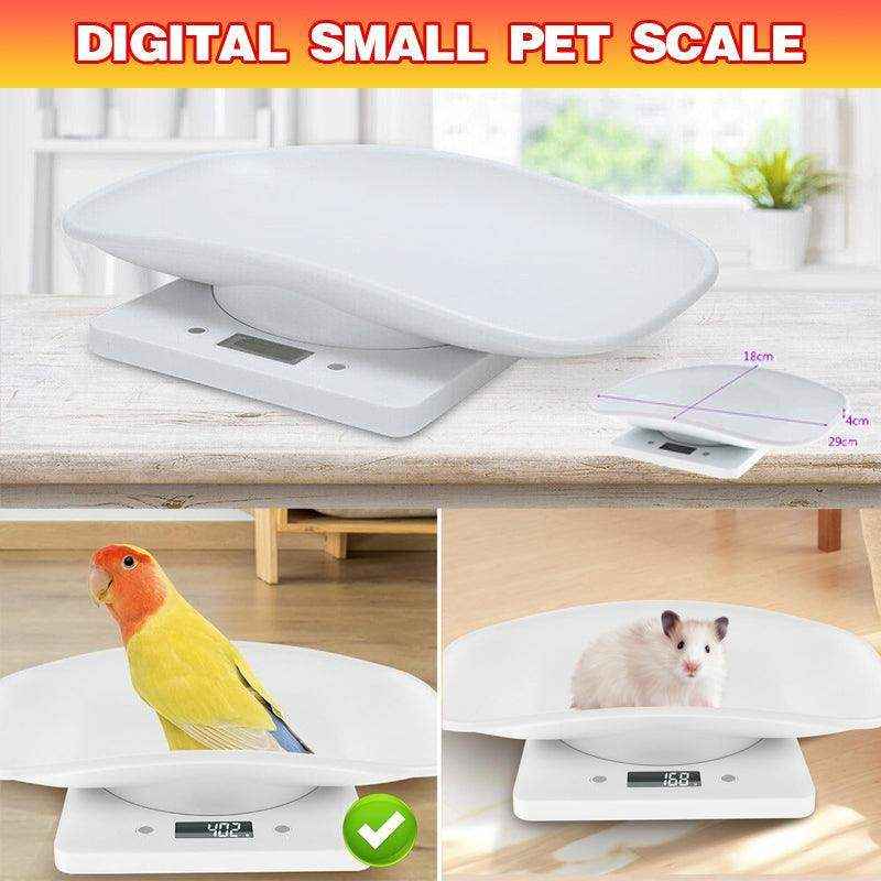 10KG LCD Digital Pet Scales | Petfection Corner