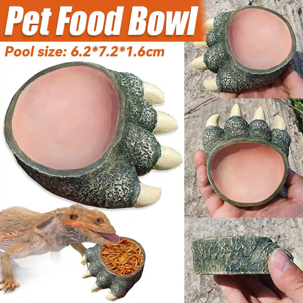 Dinosaur Claw Pet Water & Food Basin | Reptile Feeding Bowl ...