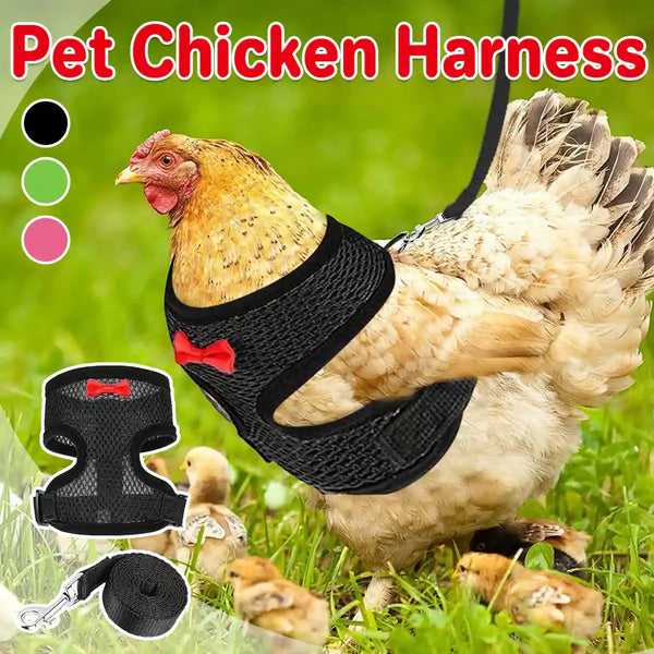 Adjustable Chicken Harness With Leash | Breathable Mesh Vest For Pets ...