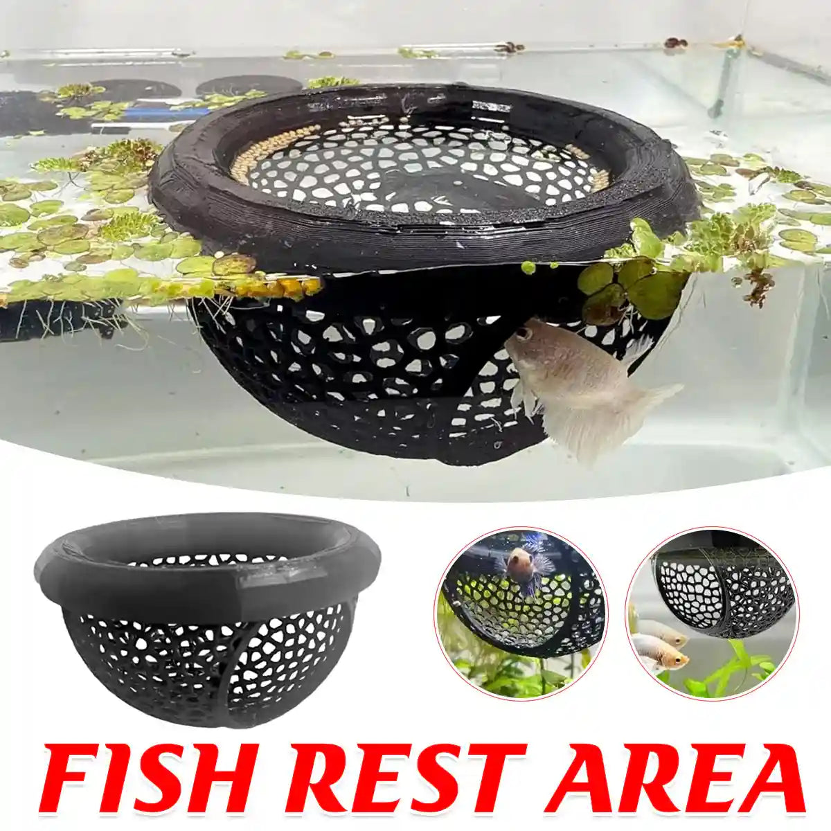 Floating Fish Lounge – Resting & Hiding Spot for Bettas & Small Fish ...