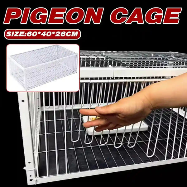 Outdoor Pigeon Cage with Secure Bar Spacing - Skylight & Top Access ...