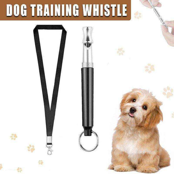 Achieve Obedience with High Pitch Dog Whistle | Petfection Corner