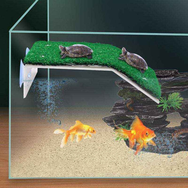 Adjustable Turtle Climbing Platform for Reptiles | Petfection Corner