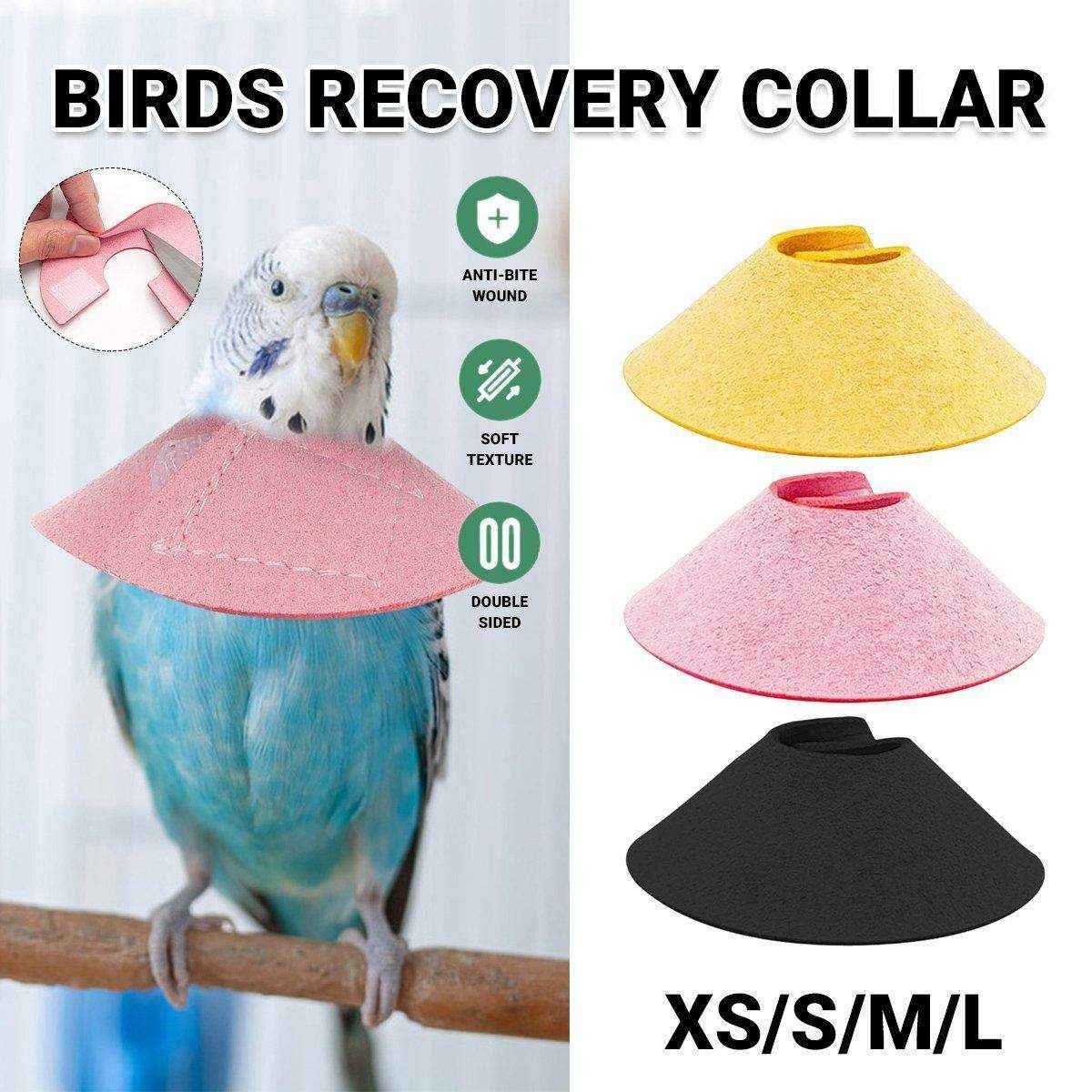 Bird Recovery Collar for Small Birds | Soft & Adjustable Neck Cone ...
