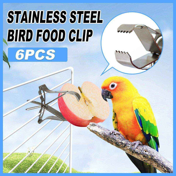 Stainless Steel Bird Food Clips | Durable Cage Holders for Parrots ...