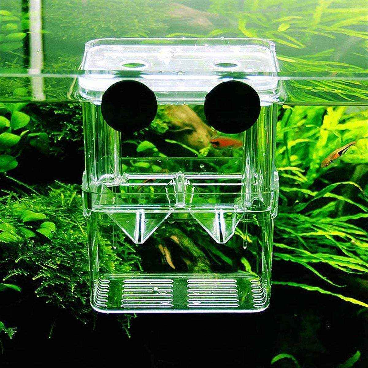 Guppy Breeding Box for Aquarium - Durable Fish Tank Isolation ...