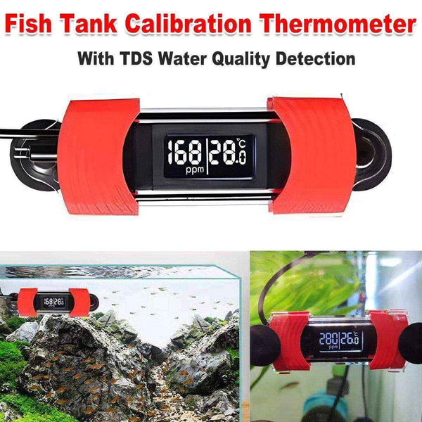 Accurate Fish Tank Calibration Thermometer with TDS Detection ...