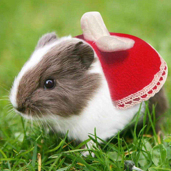 Hamster Clothes with Multi-Coloured Bow - Stylish Pet Outfits ...
