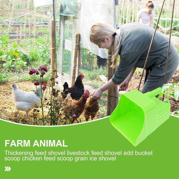 Durable Feed Shovel for Grains and Livestock Feeding | Petfection Corner