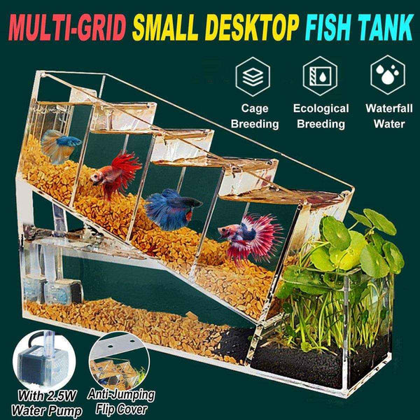 Compact Desktop Fish Tank with Filtration - Mini Fish Tank | Petfection ...