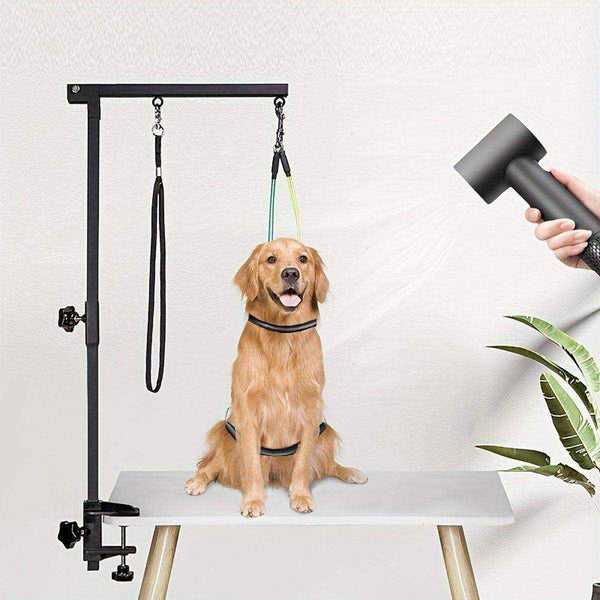 Adjustable Pet Grooming Arm with Clamp Bracket | Petfection Corner