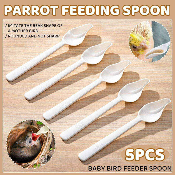 Parrot Feeding Spoon - Baby Bird Feeder Spoon (5PCS) – Petfection Corner