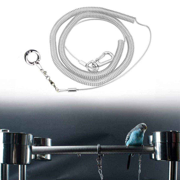 Parrot Release Rope Anklet Bird Lead - Safe Flying Adventures ...