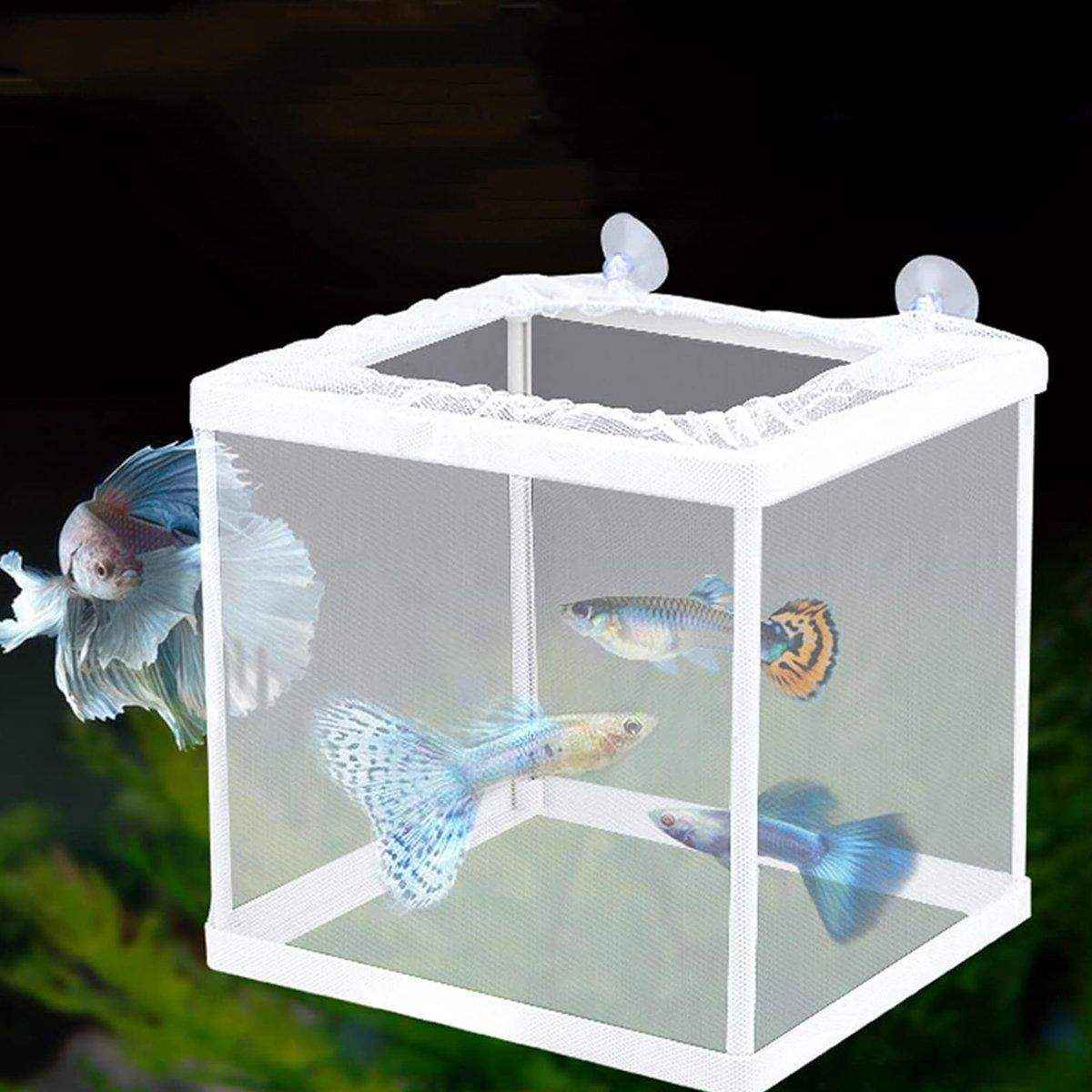 Guppy Breeding Box - Durable Aquarium Fish Breeding Box | Petfection Corner