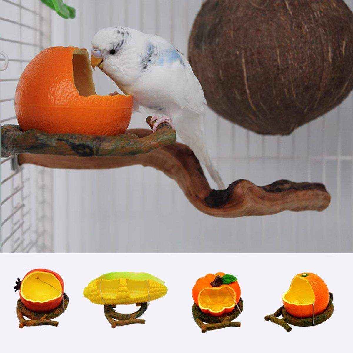 Unique Fruit-Shaped Bird Feeder | Parrot Food Container | Petfection Corner