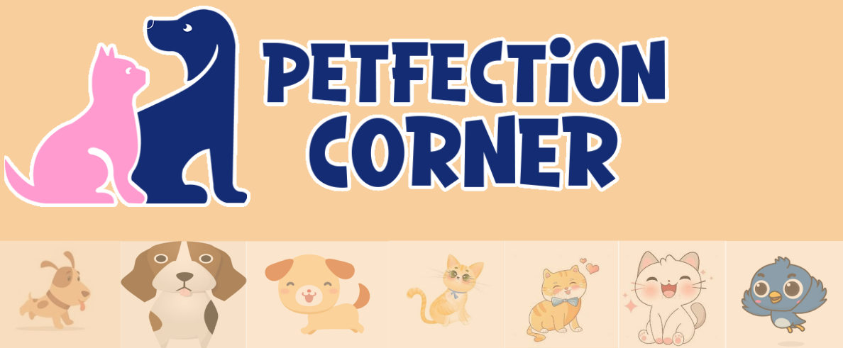 Dog Slow Feeders - Promote Healthy Eating – Petfection Corner