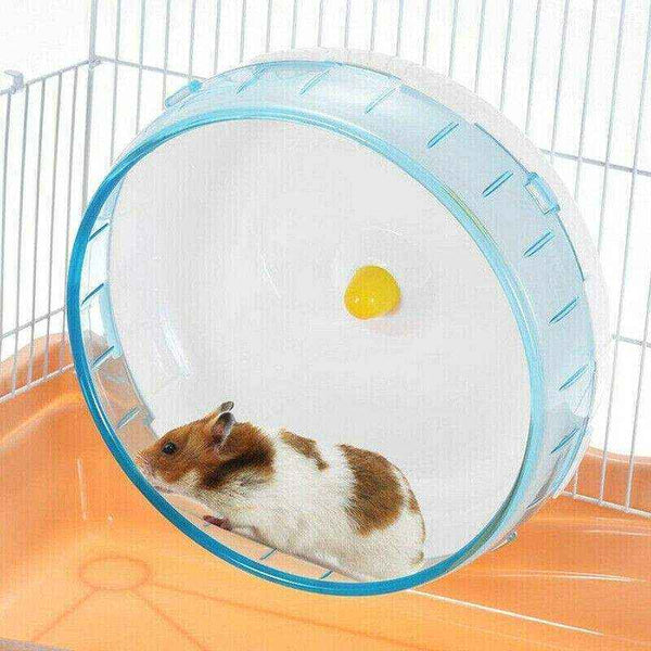 Durable and Engaging Hamster Wheel for Small Pets | Petfection Corner