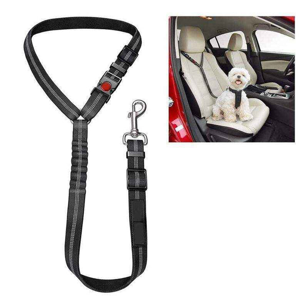 Adjustable Dog Car Restraint with 360-Degree Rotation | Petfection Corner