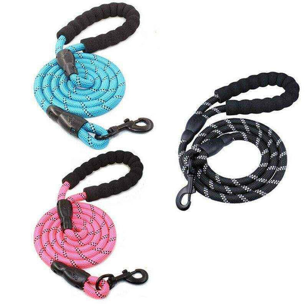 Discover the Ultimate Rope Dog Lead for Training Your Pup | Petfection ...